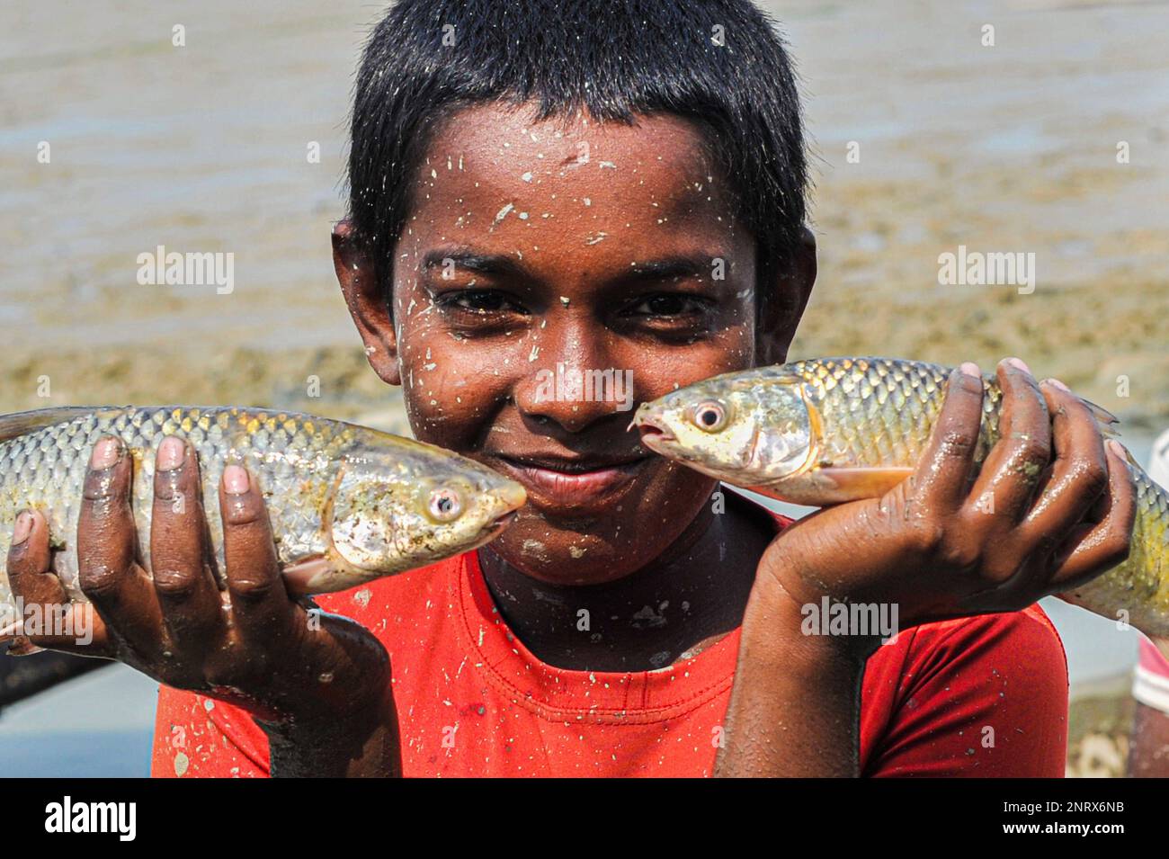 Pukuria hawr hi-res stock photography and images - Alamy