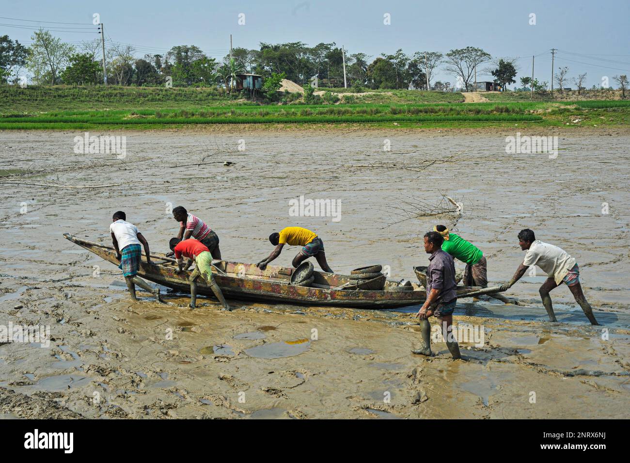 Hawr hi-res stock photography and images - Alamy