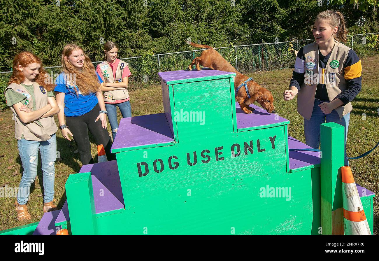 From left, Lily Talon, Abby Konopka, Emma Miller, and Julia Crowley ...