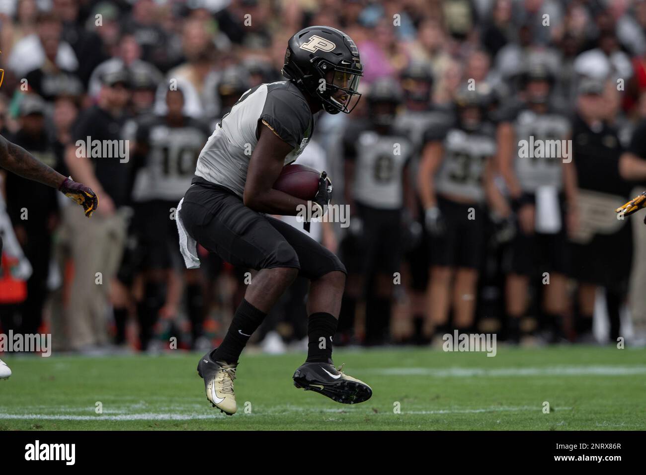 WEST LAFAYETTE, IN - SEPTEMBER 28: Purdue Boilermakers wide receiver ...