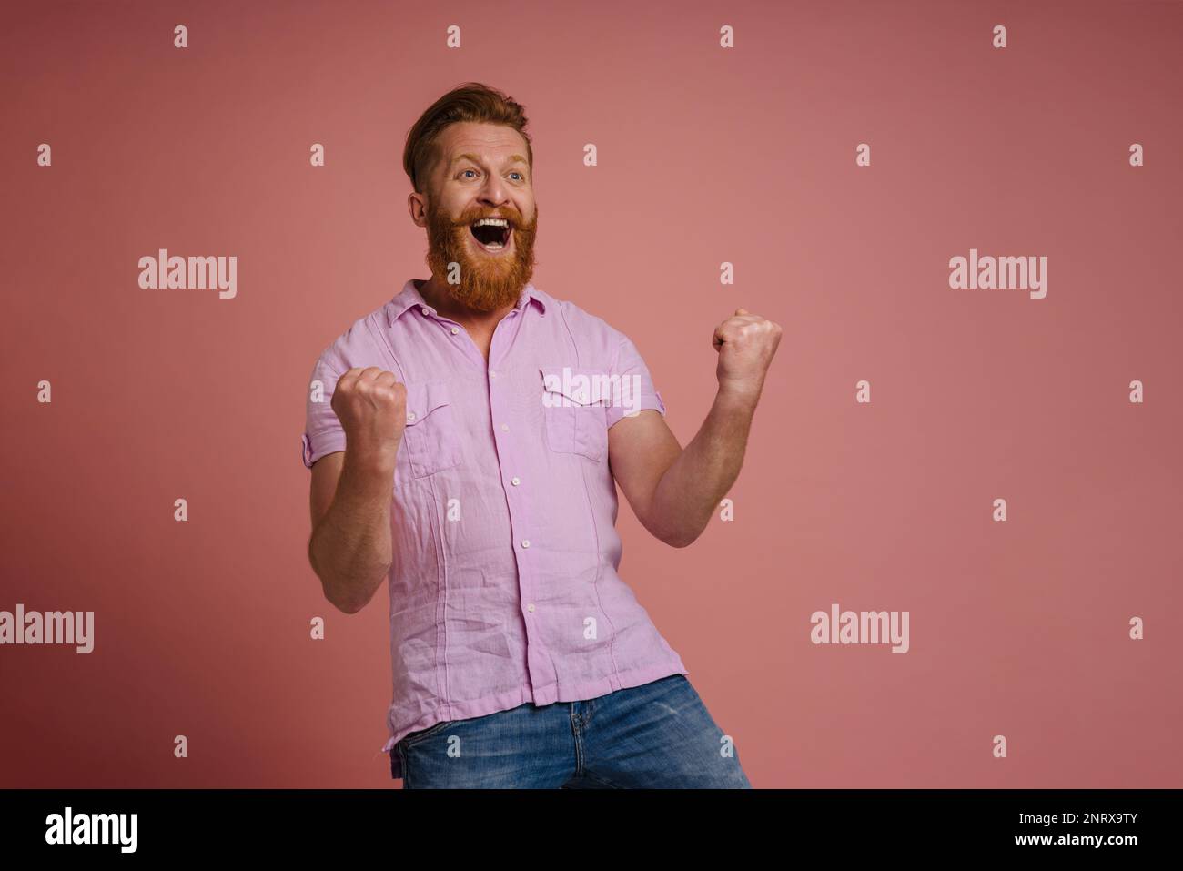 Ginger white man with beard screaming and winner gesture isolated over ...