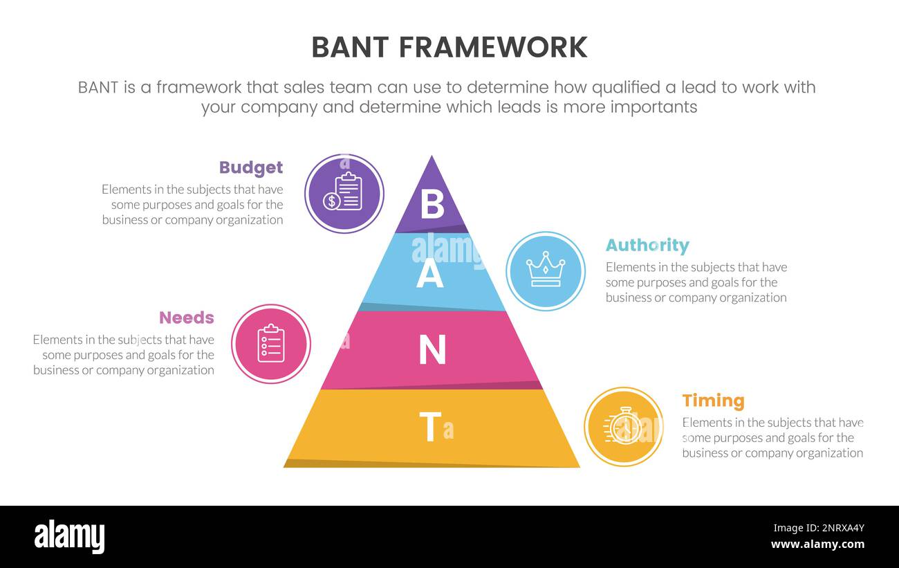 bant sales framework methodology infographic with pyramid shape vertical information concept for ...