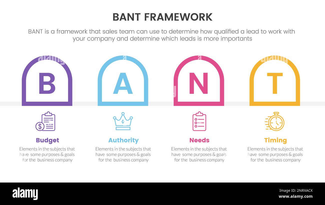bant sales framework methodology infographic with round rectangle shape ...