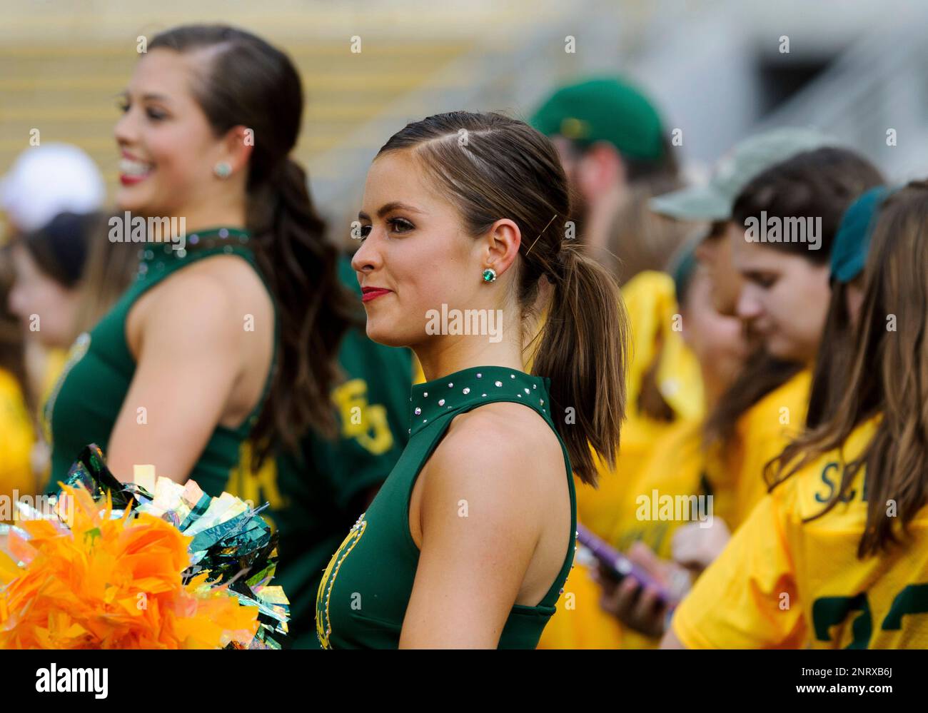 September 28 2019: Baylor Bears cheerleaders before the 1st half of the ...