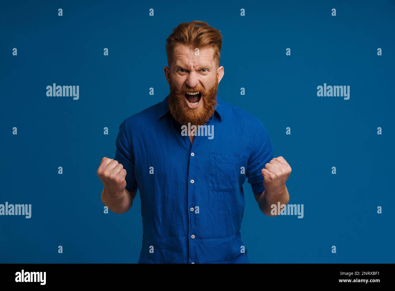 Ginger white man with beard screaming while making winner gesture ...