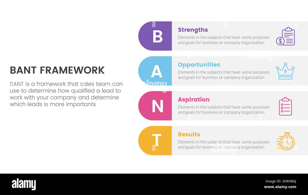 bant sales framework methodology infographic with vertical round box ...