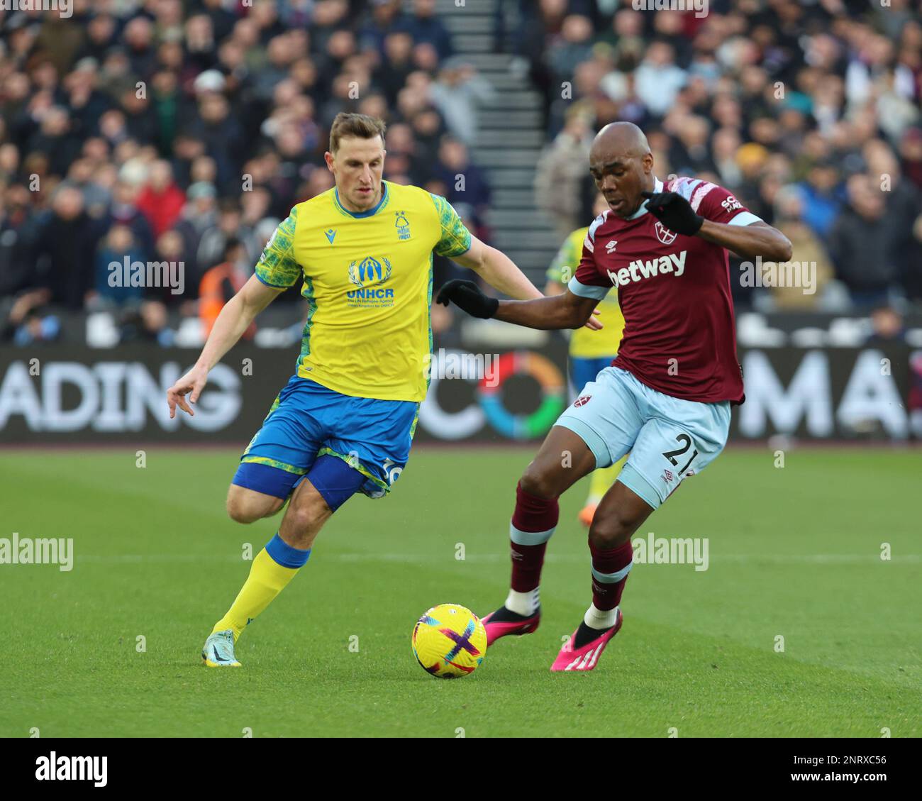 Chris wood forest hi-res stock photography and images - Alamy