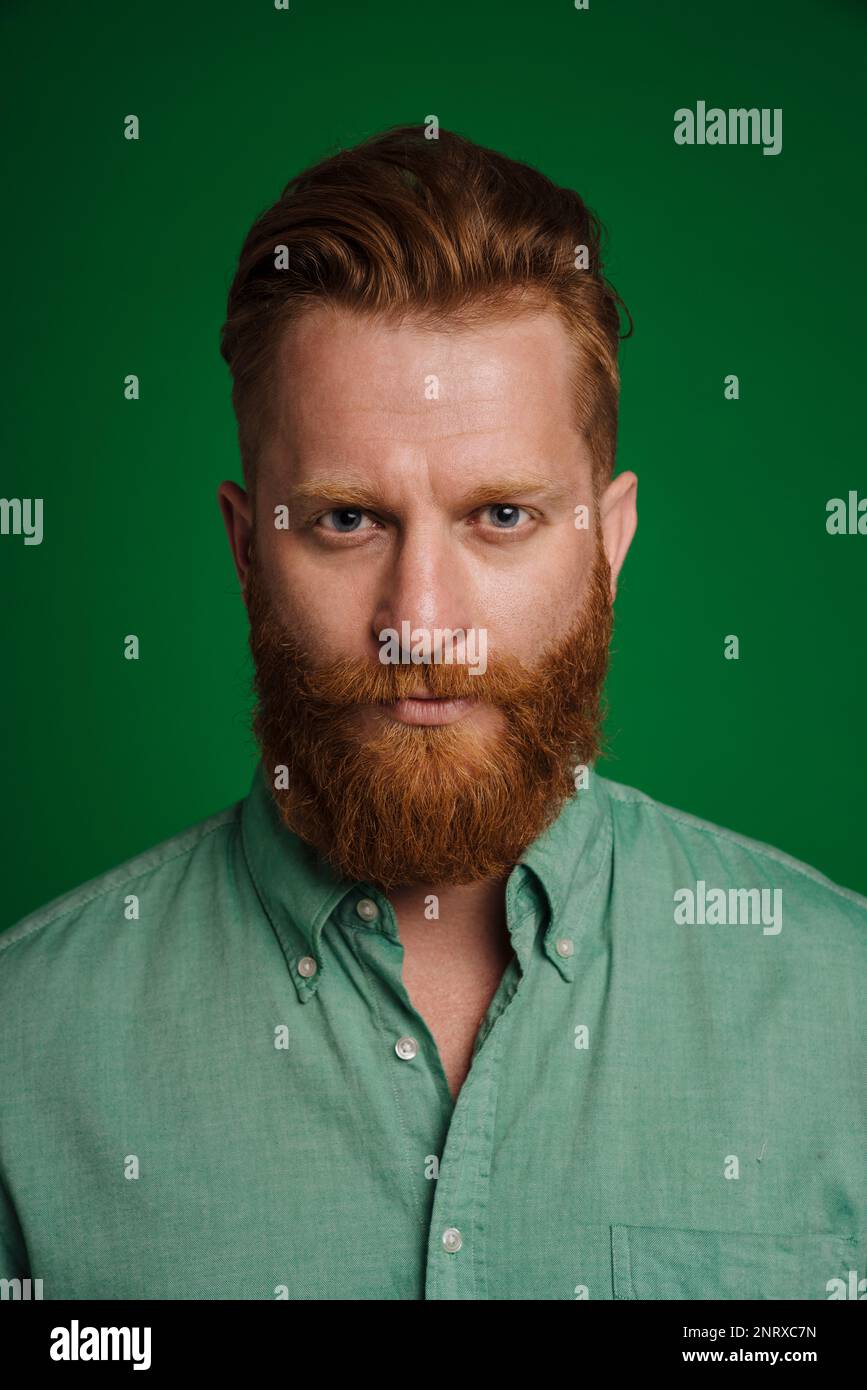 Ginger white man with beard posing and looking at camera isolated over ...