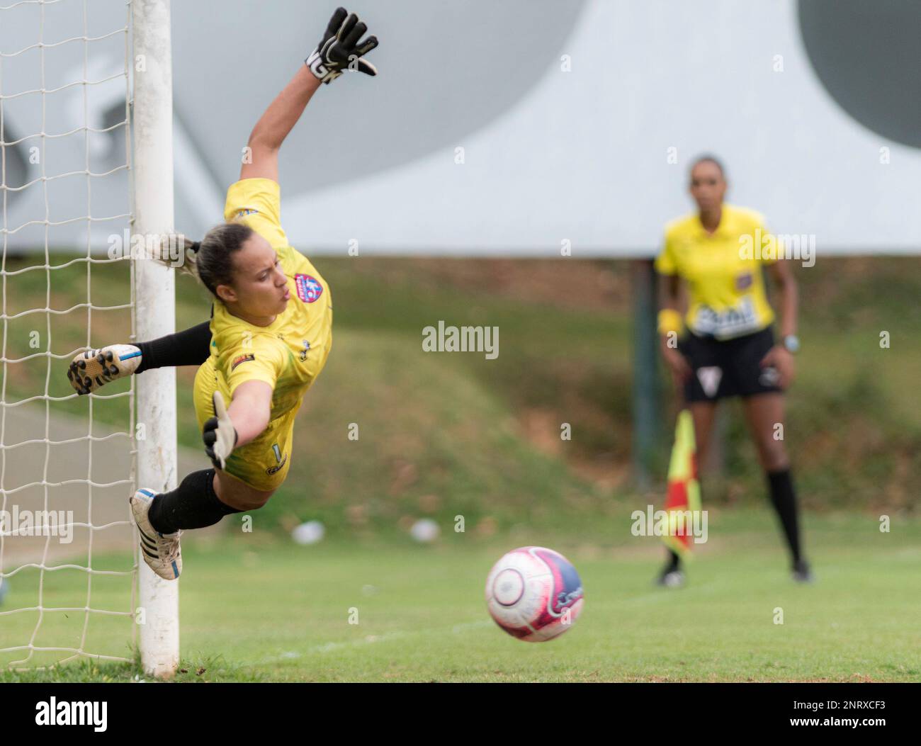 Women's Mineiro Championship - Atletico MG X Futgol - Taina goalkeeper of Futgol during match ...