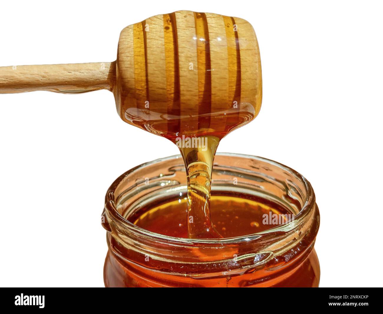 Polyflora hi-res stock photography and images - Alamy