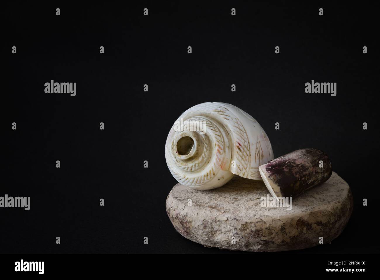 conch shell with sandalwood stick and stone. pooja essentials for ...