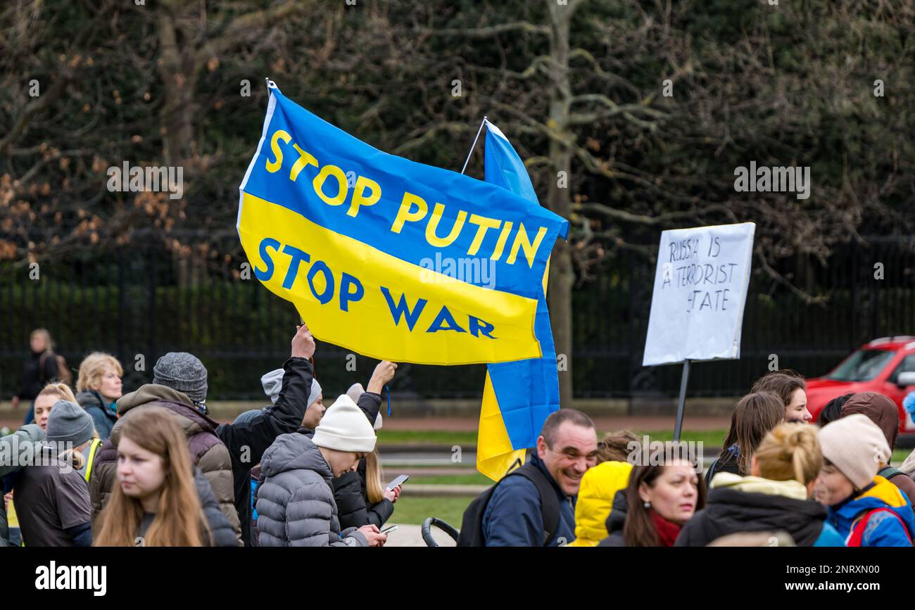 Ukraine scotland flag hi-res stock photography and images - Alamy