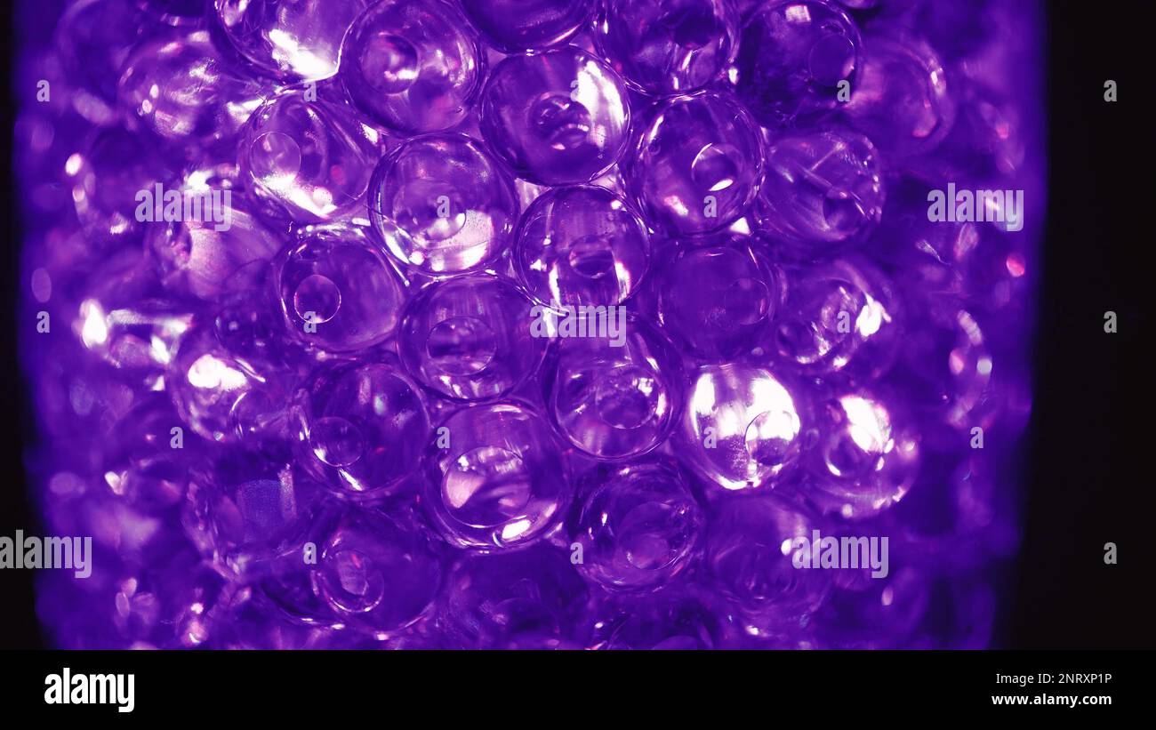 Animation of early embryonic development. Conceptual microbiology in ...