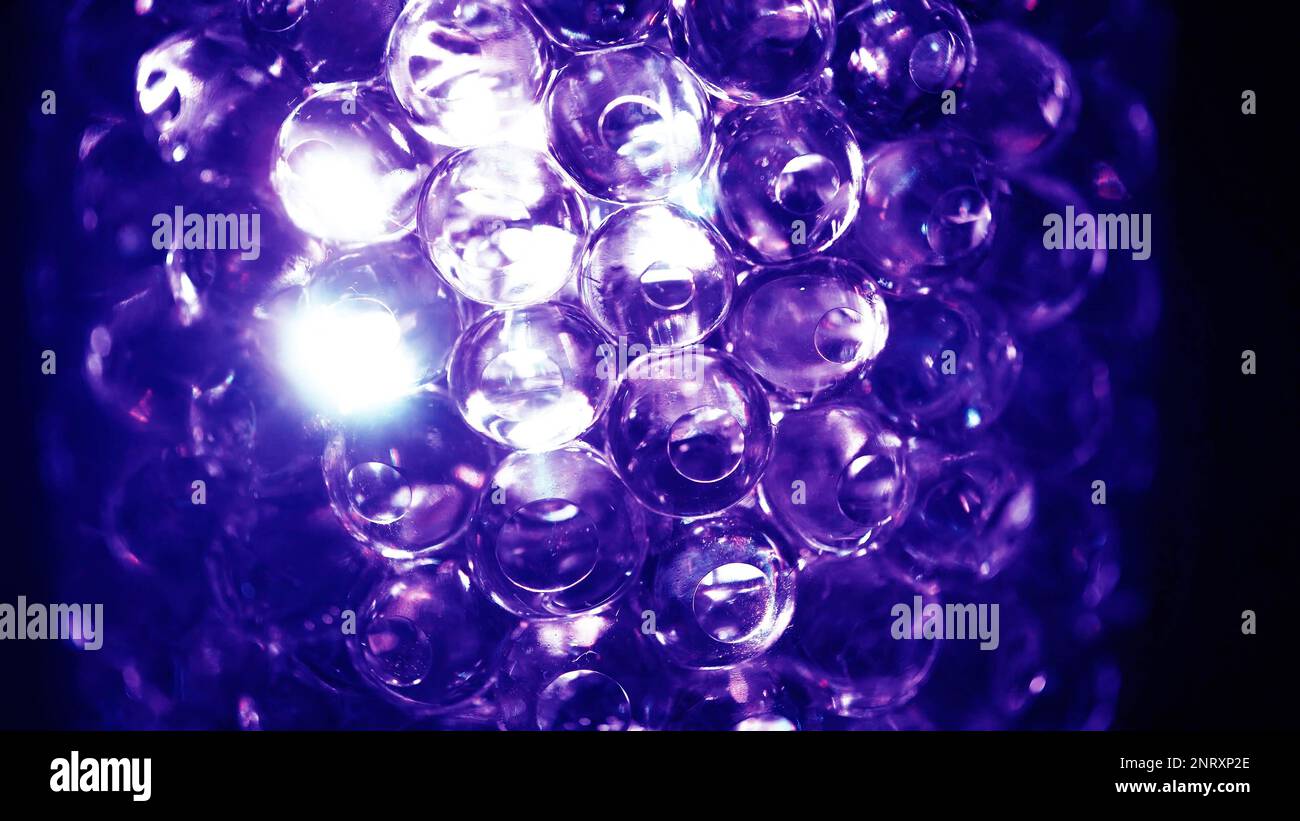 Animation of early embryonic development. Conceptual microbiology in ...