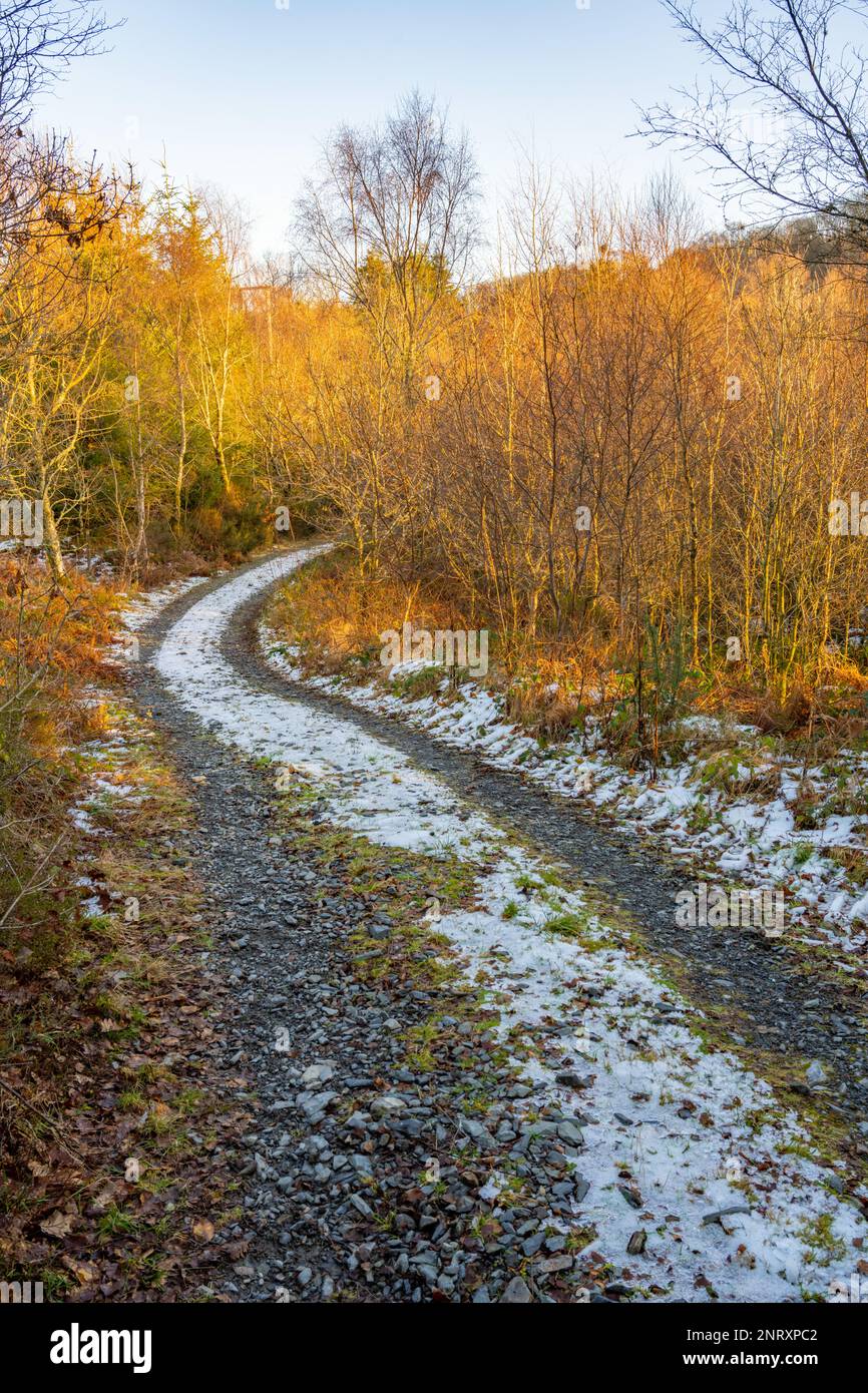 Snow dusting on a track on Ceunant Llennyrch National Nature Reserve on ...
