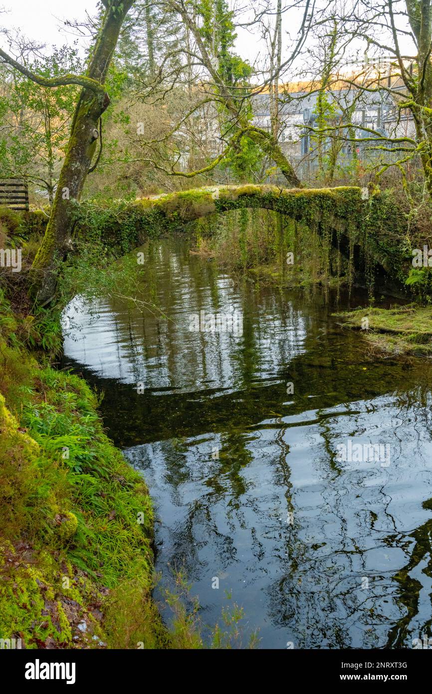 The Ivy Bridge in Ceunant Llennyrch National Nature Reserve with the ...