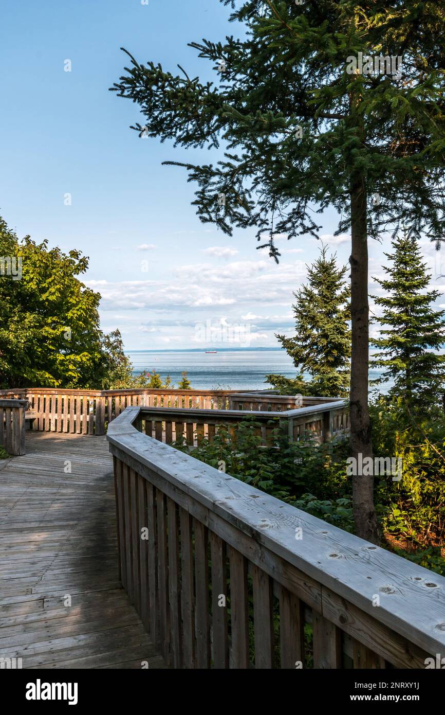 Beautiful view from a walking trail of ocean through trees with ...