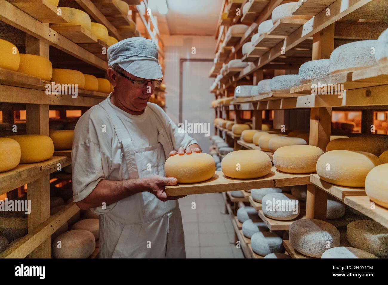 A worker at a cheese factory sorting freshly processed cheese on drying ...