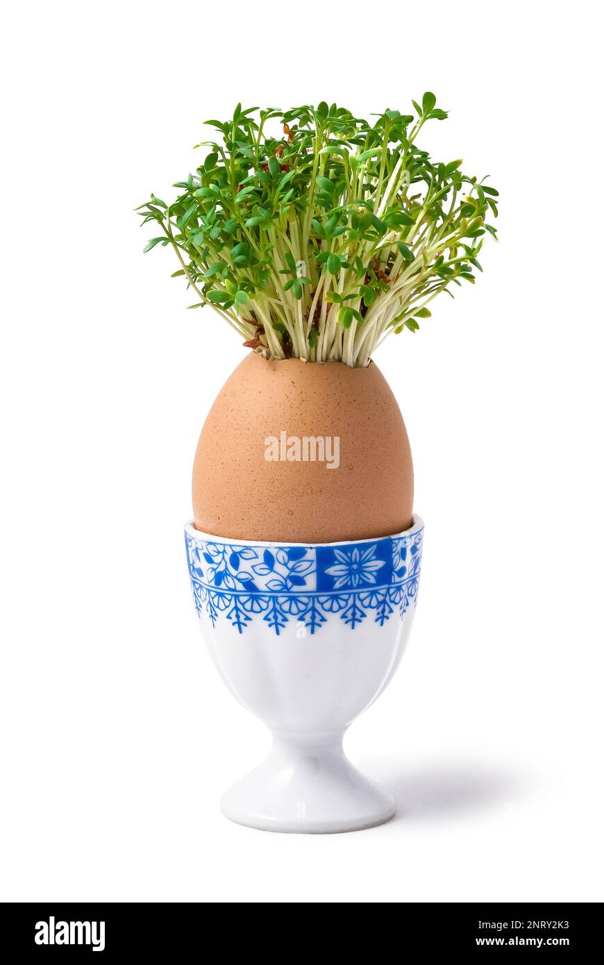 An egg a day Cut Out Stock Images & Pictures - Alamy