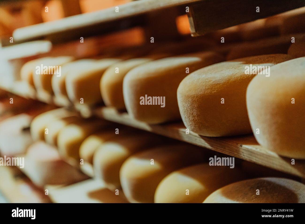 Large cheddar wheel hi-res stock photography and images - Alamy