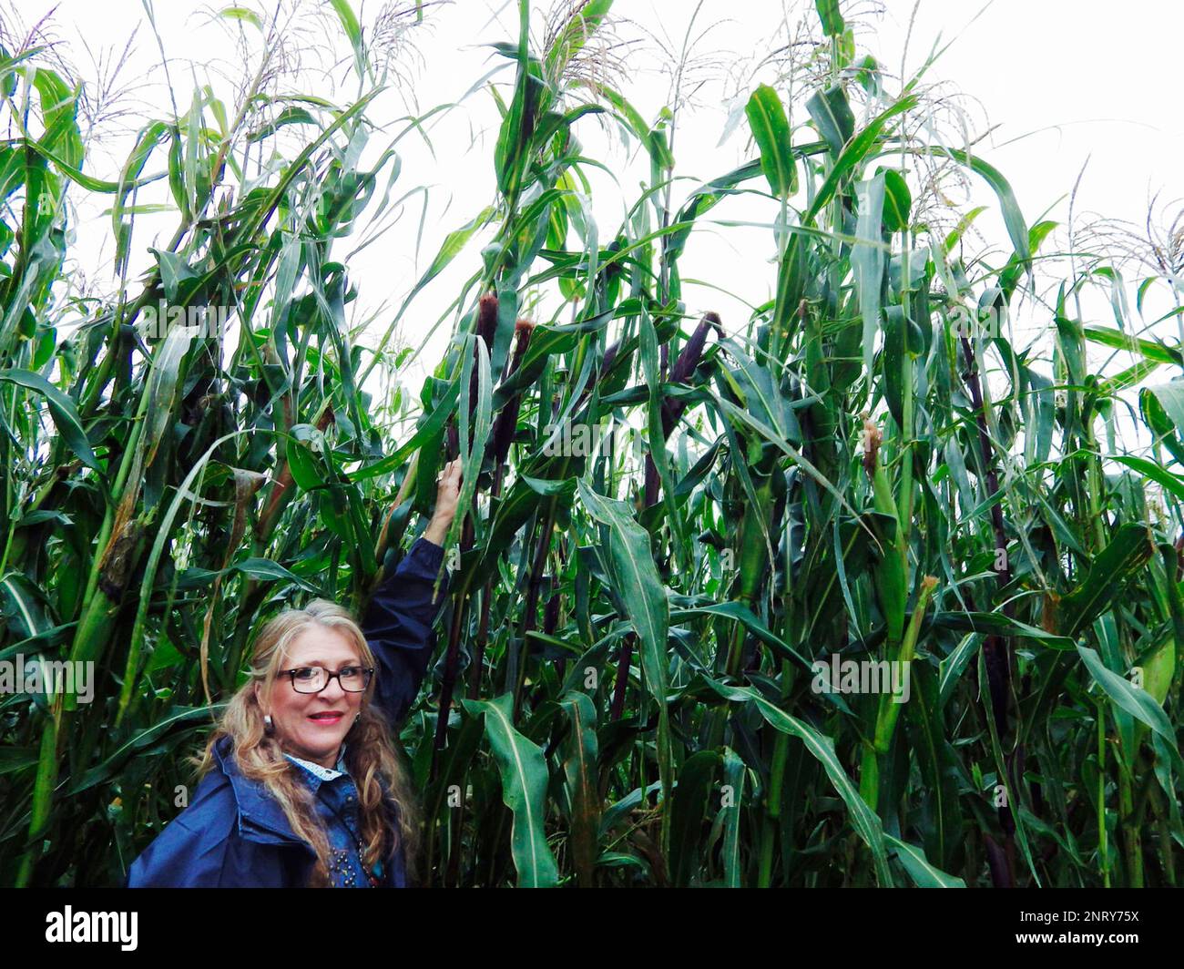 In this Sept. 13, 2019 photo, rancher Mary Graner reaches for Indian ...