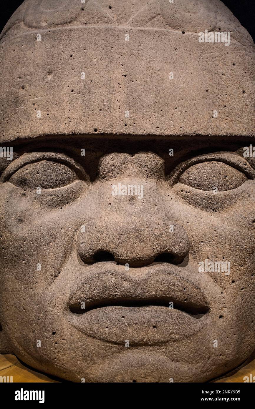 Olmec Giant Head, National Museum of Anthropology. Mexico City. Mexico ...