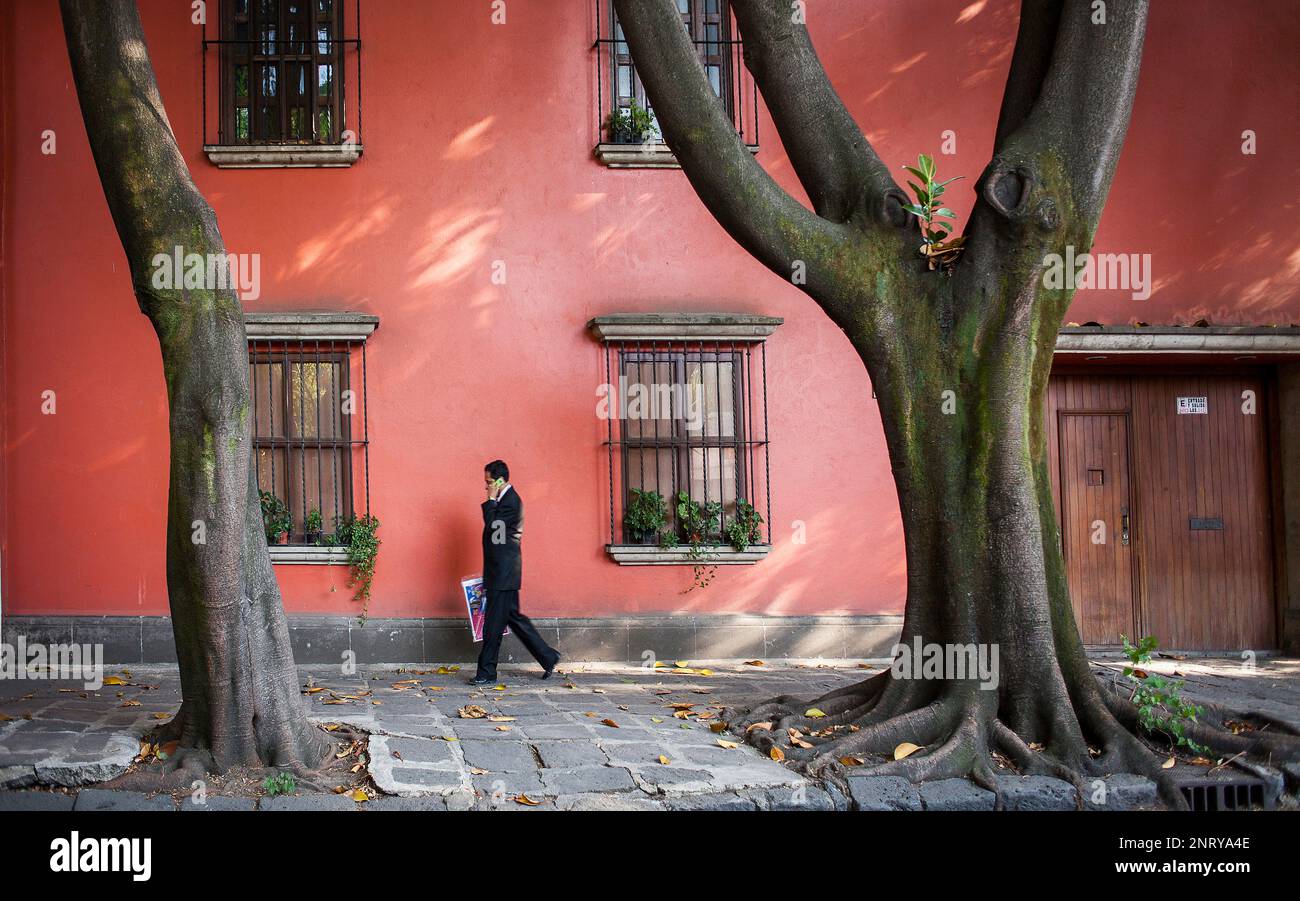 Avenida Francisco Sosa, Coyoacan, Mexico City, Mexico Stock Photo - Alamy