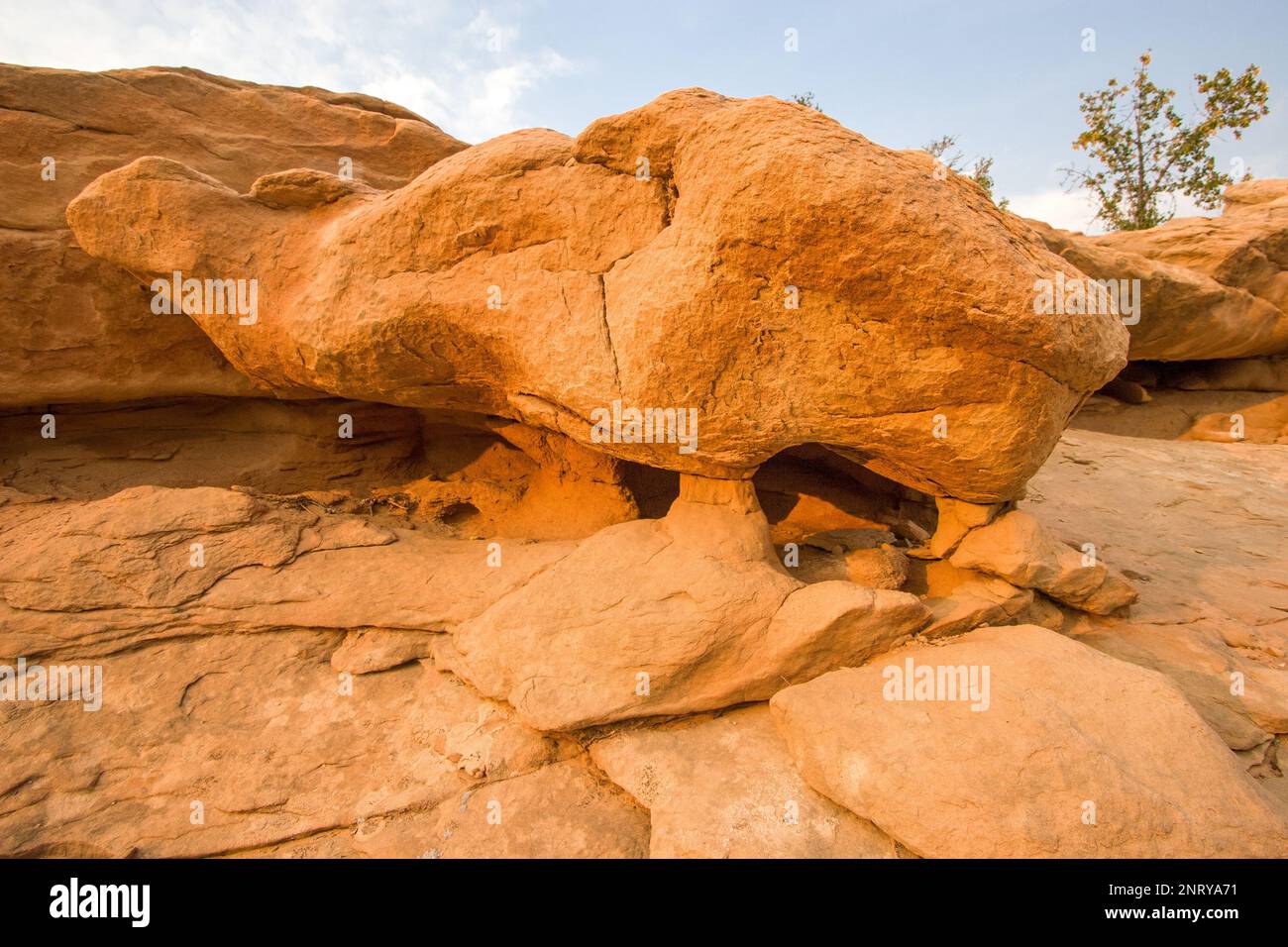 Micro arches in the Navajo sandstone in the Navajo Rocks area near Moab ...