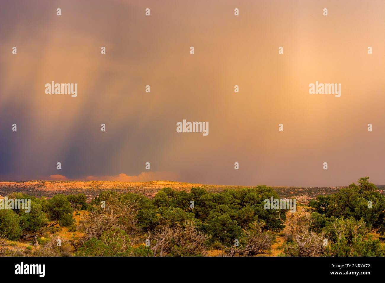 Summer monsoon storm with colorful clouds at sunset over Arth's Pasture ...