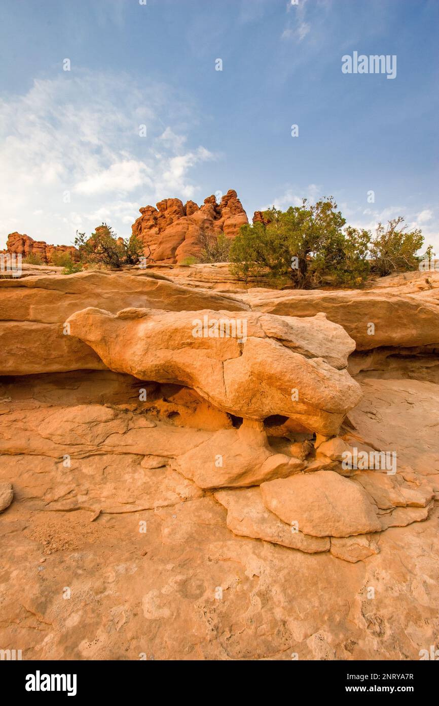 Micro arches in the Navajo sandstone in the Navajo Rocks area near Moab ...