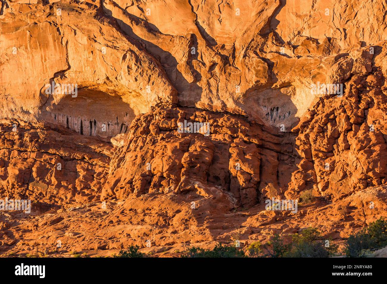 Alcoves forming by erosion in the Entrada sandstone at the Navajo Rocks ...