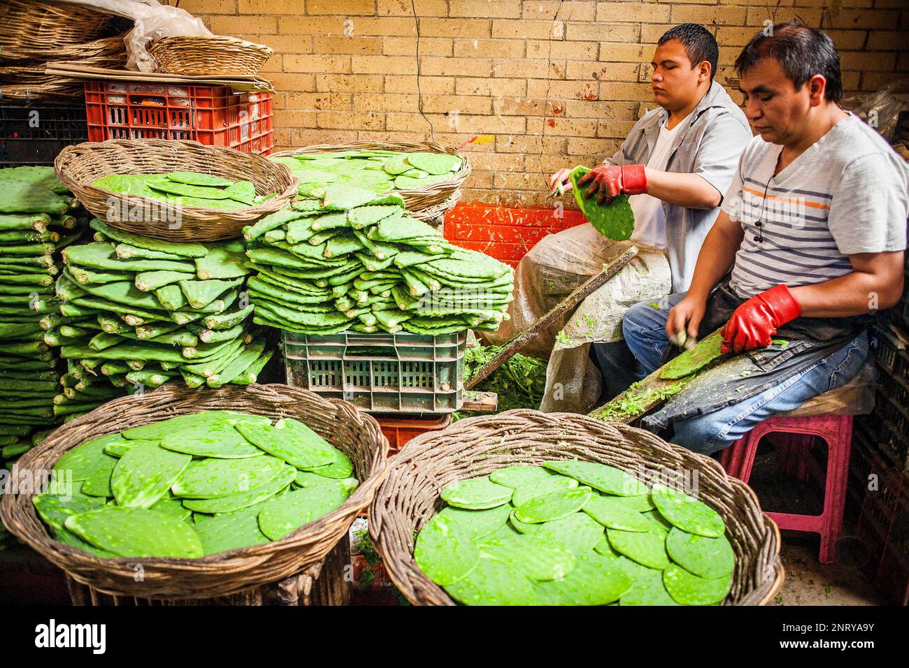 Mercado de merced mexico city hi-res stock photography and images - Alamy