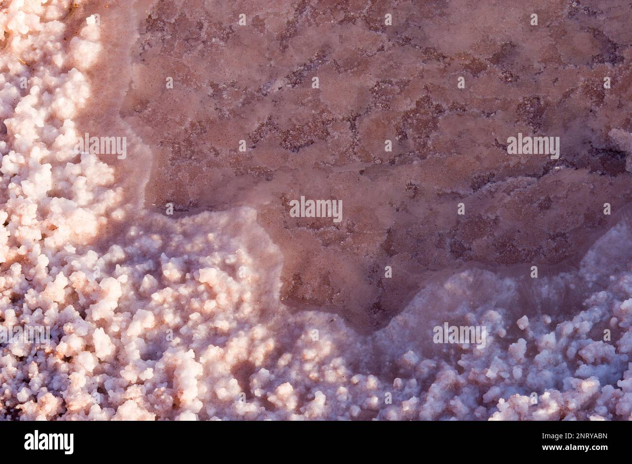 Potassium and salt crystals forming along the edge of a mineral seep ...