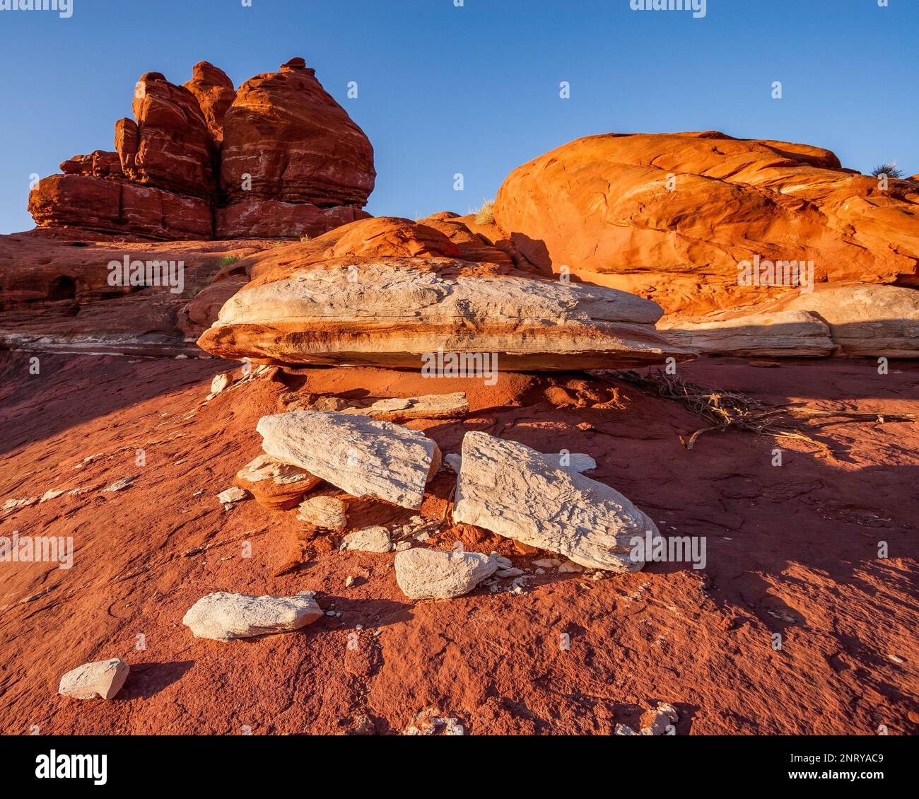 Striped Cutler sandstone rock formations along the Shafer Trail near ...