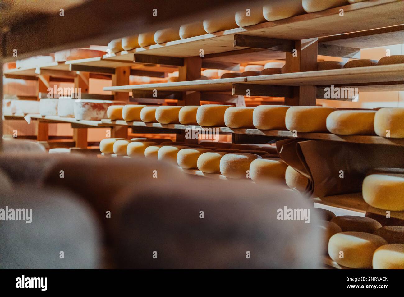 Large cheddar wheel hi-res stock photography and images - Alamy