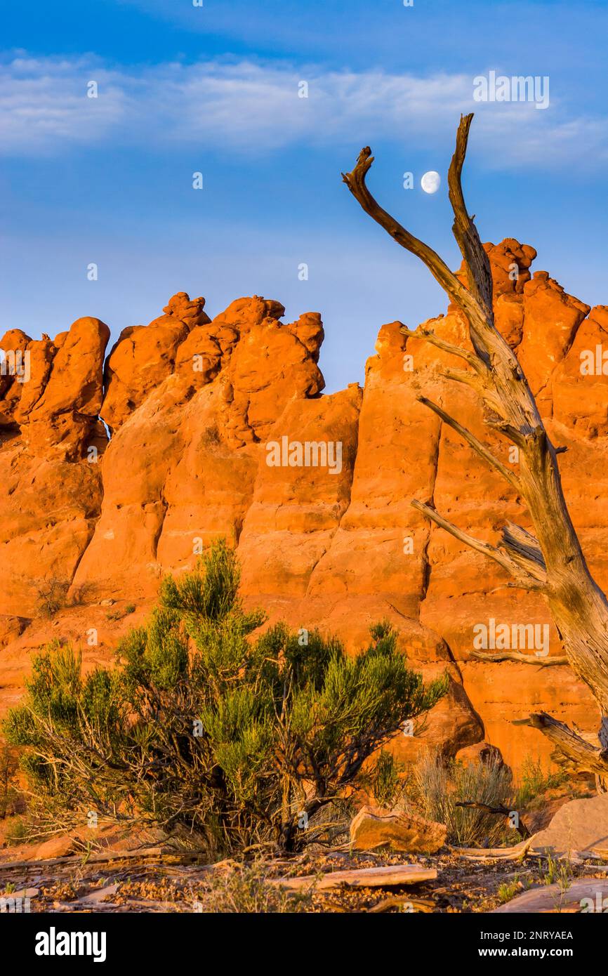 Entrada m hi-res stock photography and images - Alamy