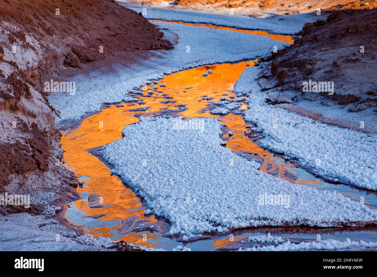 Golden sandstone reflected in the water of a mineral seep near Moab ...