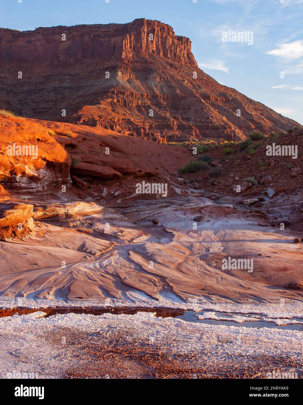 Potassium and salt crystals forming along the edge of a mineral seep ...
