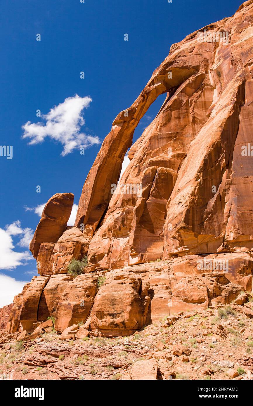 Jug Handle Arch is a near-vertical arch in Wingate sandstone by the ...