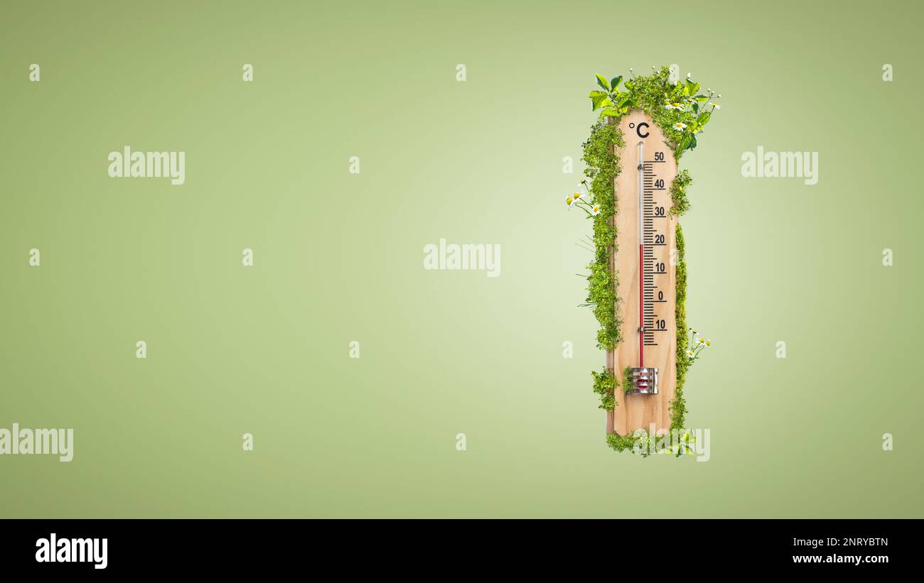Spring time - thermometer with flowers and leaves showing 20°C Stock ...