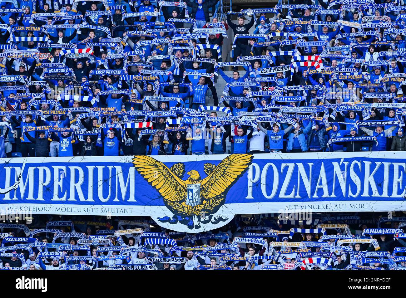 Crowd blue white stadium football hi-res stock photography and images ...