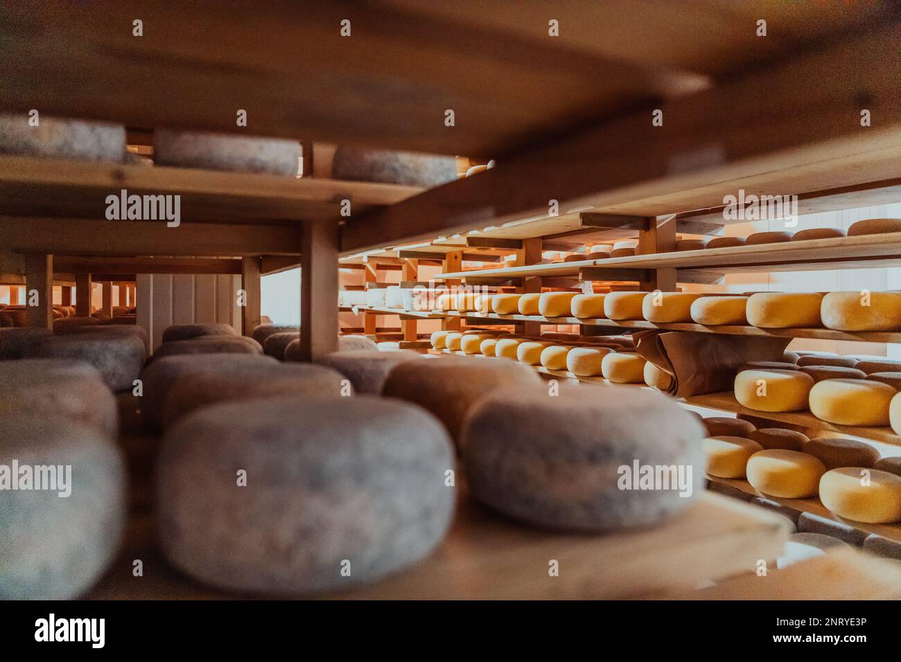 Large cheddar wheel hi-res stock photography and images - Alamy