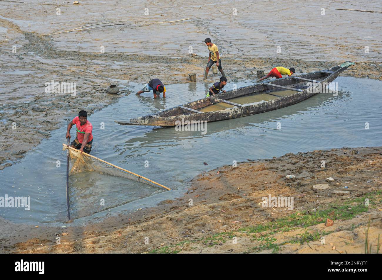 Pukuria hawr hi-res stock photography and images - Alamy