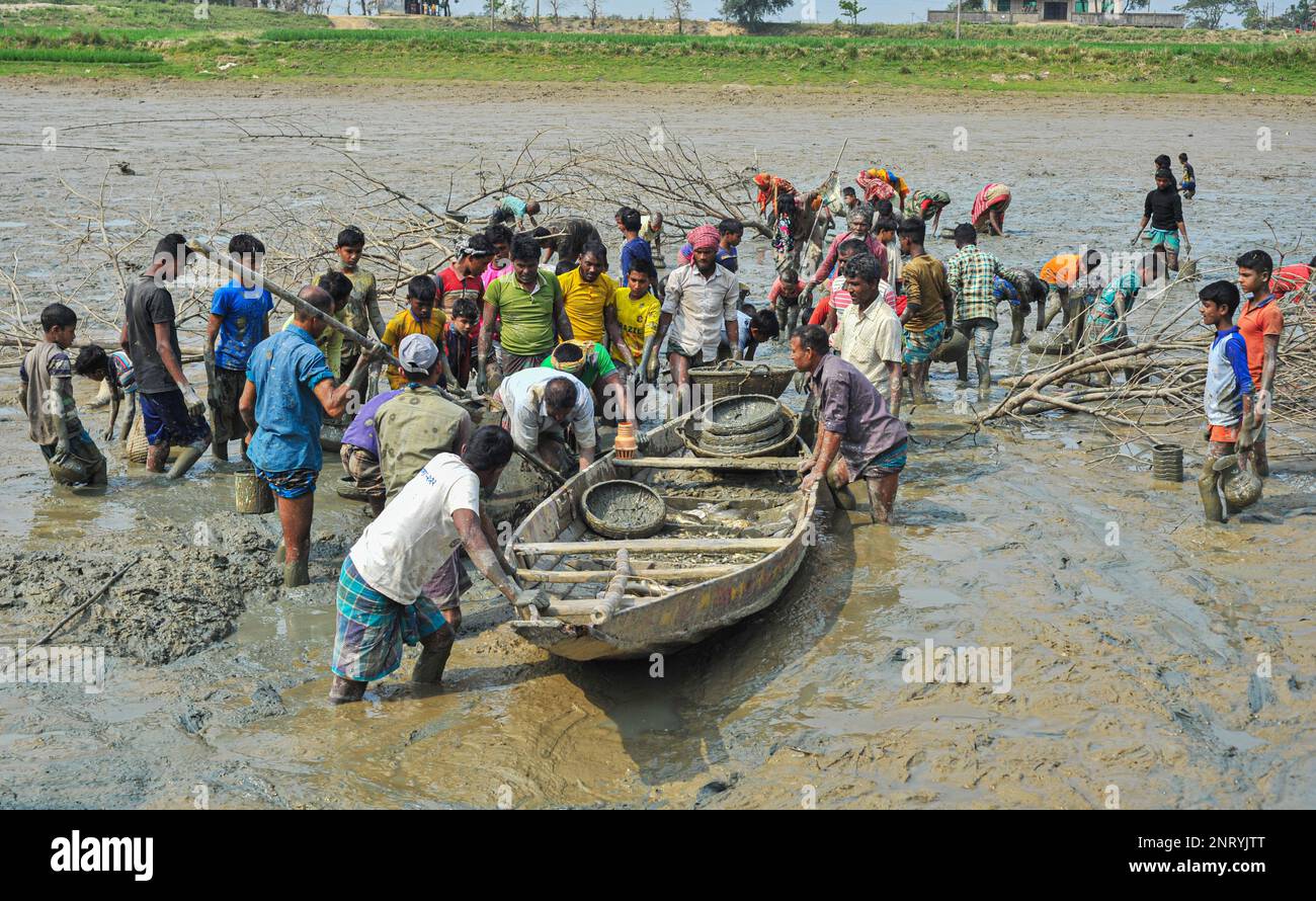 Pukuria hawr hi-res stock photography and images - Alamy