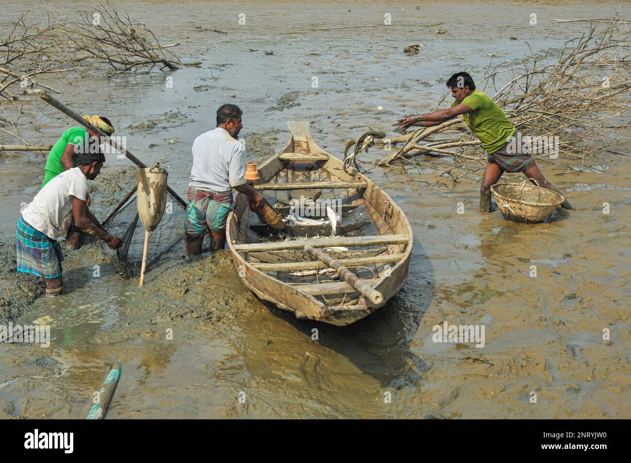 Pukuria hawr hi-res stock photography and images - Alamy