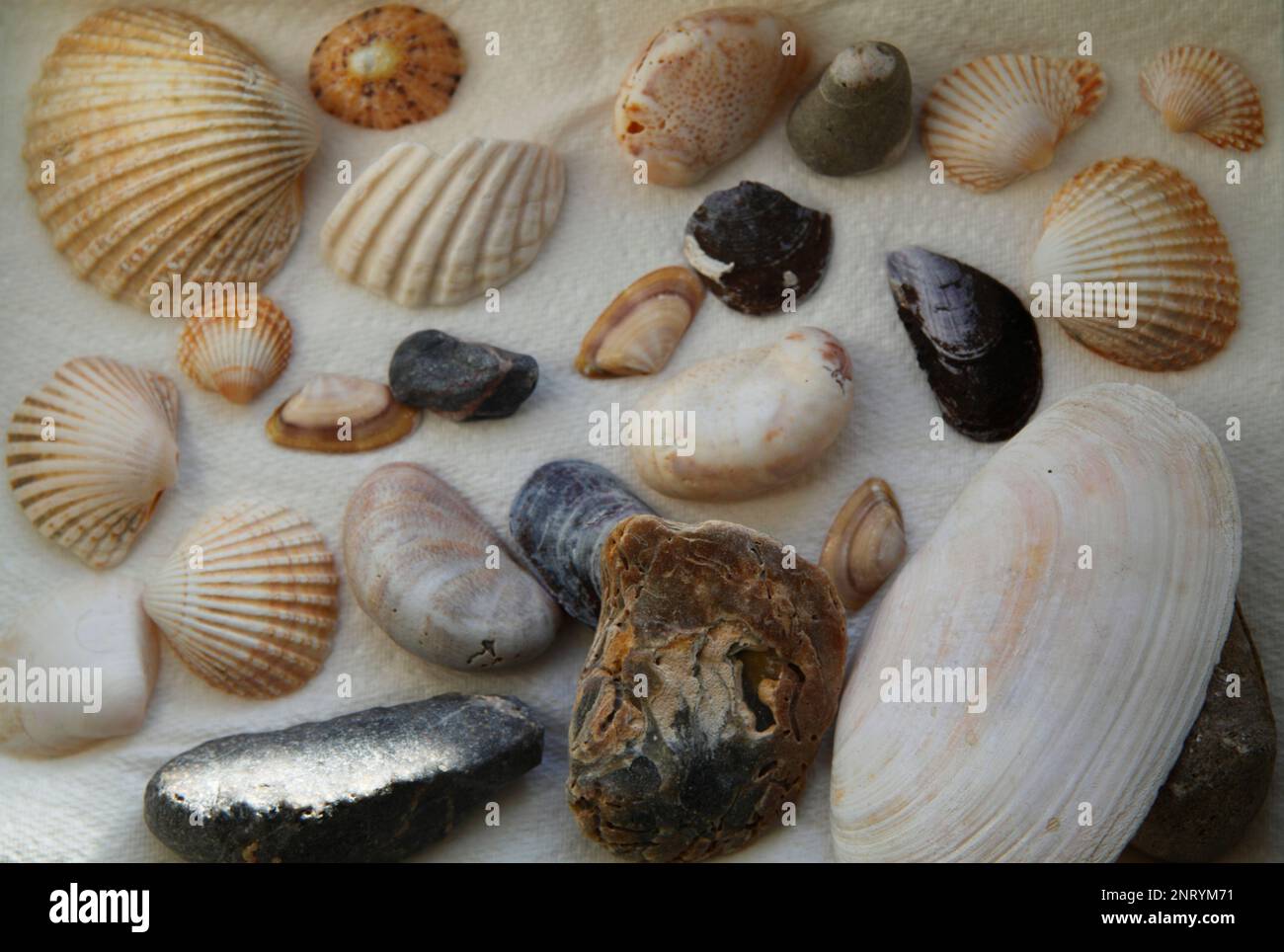 Cleaned up beach hi-res stock photography and images - Alamy