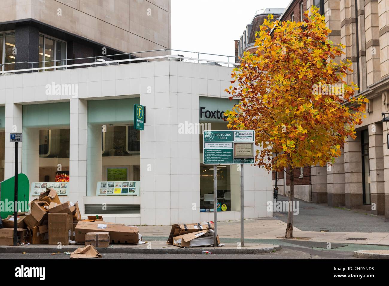 Rubbish next to an urban tree in autumn colour, High Holborn, London ...