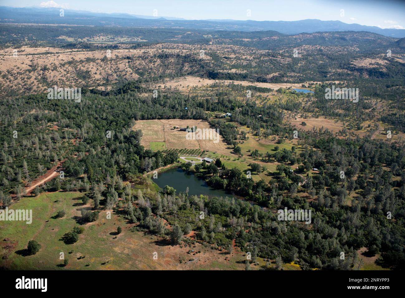 In this photo taken June 7, 2019, most homes in Shingletown, Calif ...