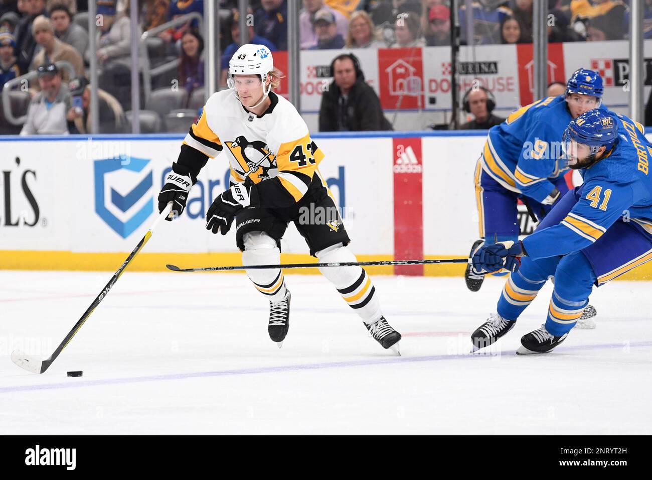 Pittsburgh Penguins' Danton Heinen (43) skates against St. Louis Blues ...