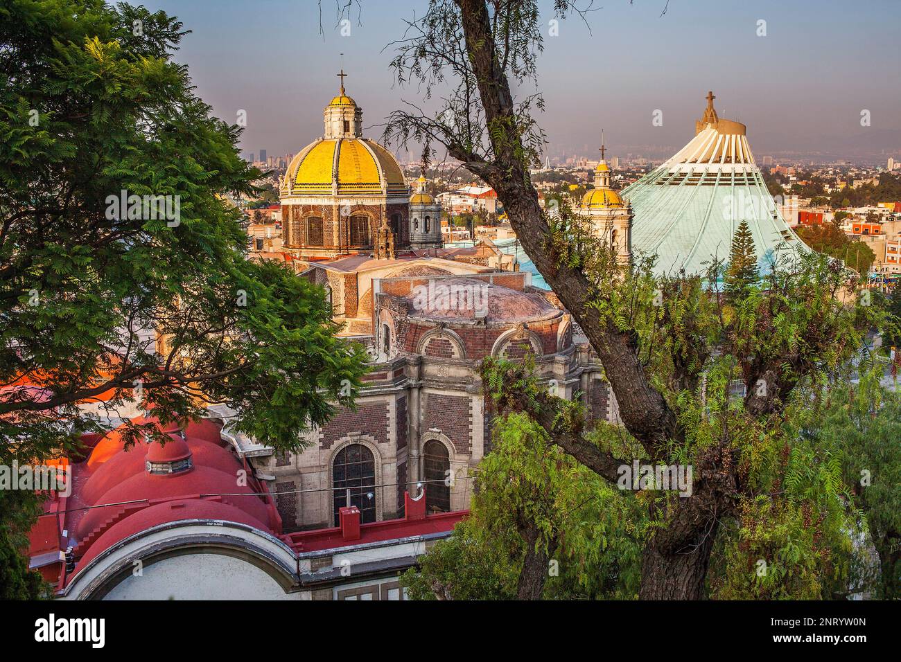 Basilica de la virgen de guadalupe hi-res stock photography and images ...